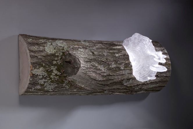 Now Showing in the Art Gallery: Kat Ely – In the Know @ the Bentley Library